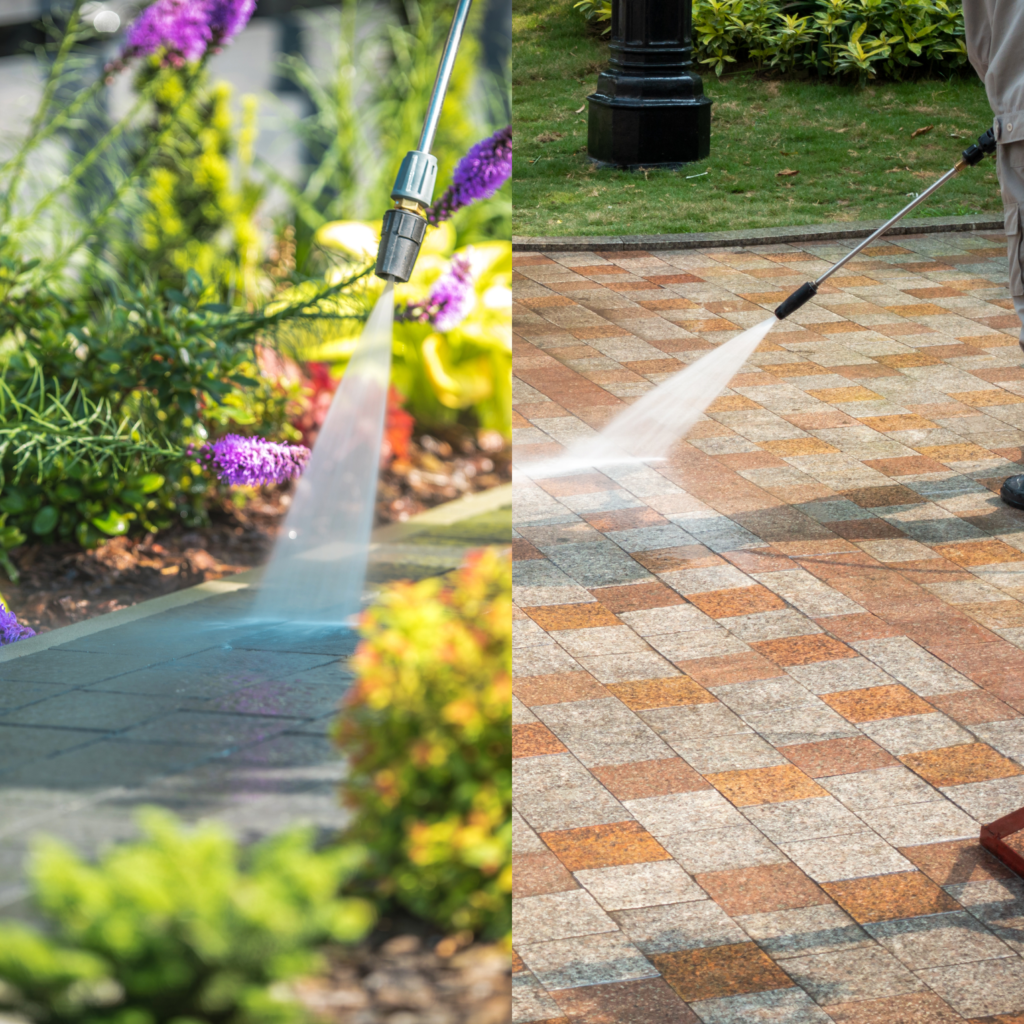 Aqua Fox Soft Wash – For all your Soft Washing and Pressure Washing needs.